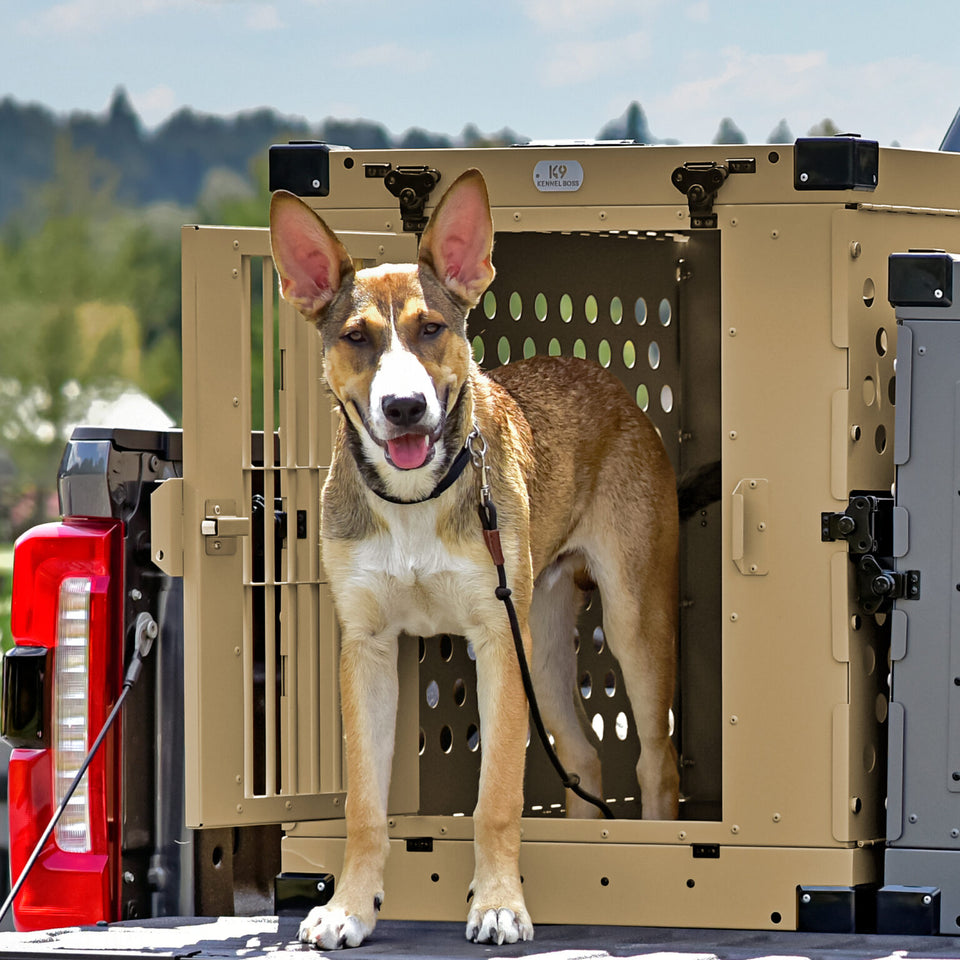 Heavy Duty Collapsible Dog Crate – Large – K9 Kennel Boss