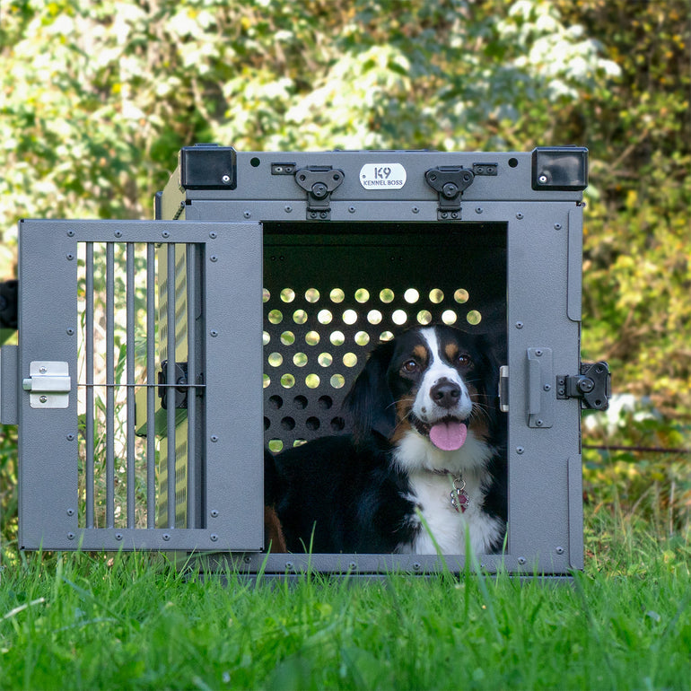 Flying With Your Dog | IATA Crate & Travel Guide – K9 Kennel Boss